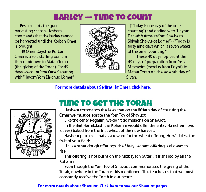 Parsha on Parade - Emor Story